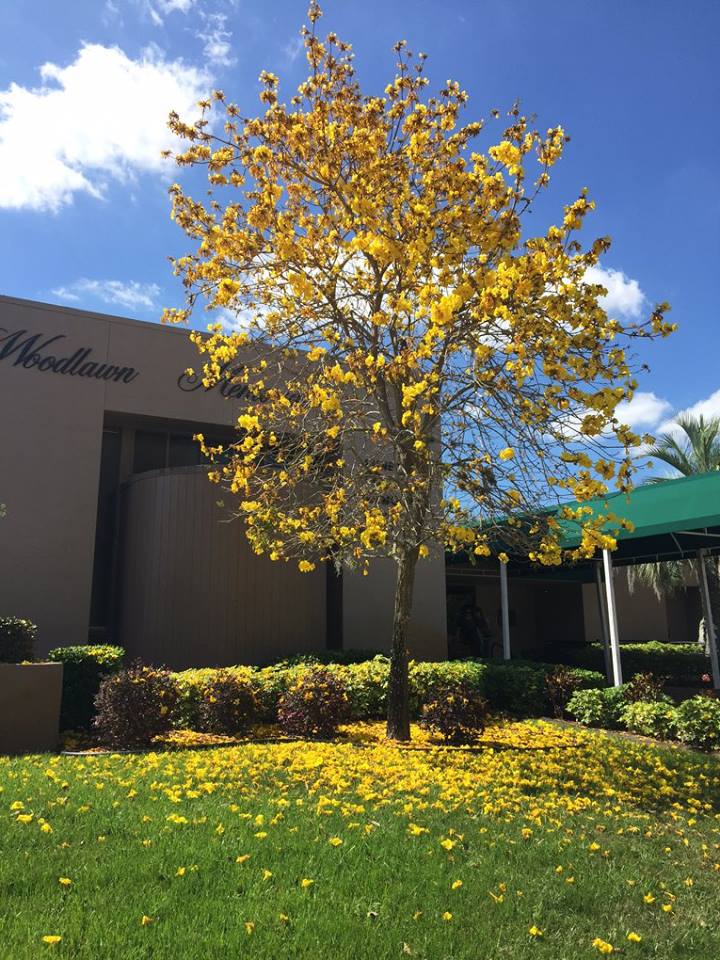 10 Amazing Funeral Home Gardens We Love - ASD Answering Service